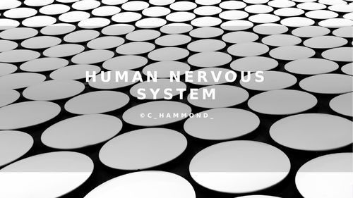 AQA GCSE Biology Central Nervous System | Teaching Resources AQA GCSE Biology Central Nervous System | Teaching Resources