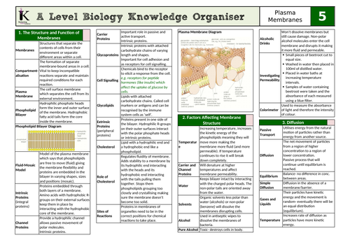 OCR Biology A Knowledge Organiser- Chapter 5 | Teaching Resources