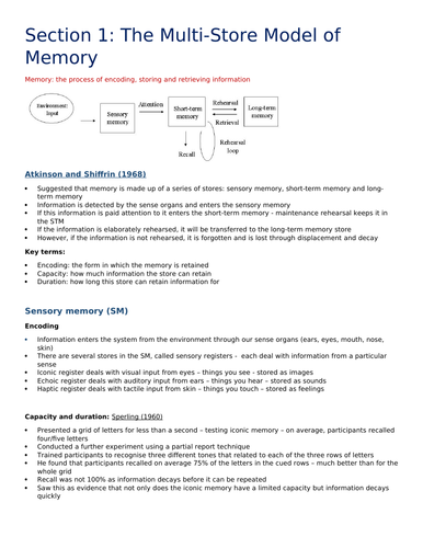 AQA Psychology A-level: Memory (A* notes) | Teaching Resources AQA Psychology A-level: Memory (A* notes) | Teaching Resources