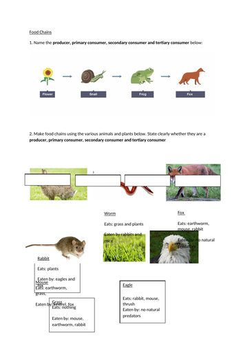 Food chains worksheet | Teaching Resources