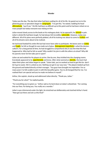 Talk for Writing Model Text- Rags to Riches- Wonder | Teaching Resources