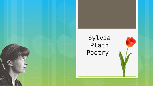 Sylvia Plath Poetry breakdown | Teaching Resources