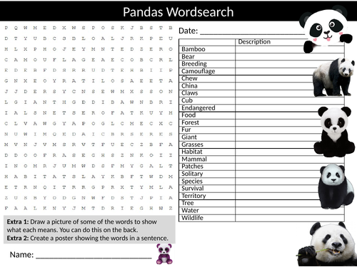 Pandas Wordsearch PE Sports Starter Settler Literacy Activity Homework ...