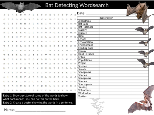 2 x Bats Wordsearch Sheet Starter Activity Keywords Cover Homework ...