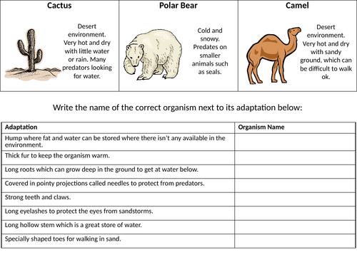 Adaptation | Teaching Resources