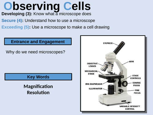 B1.1 Observing Cells - Year 7 Biology | Teaching Resources