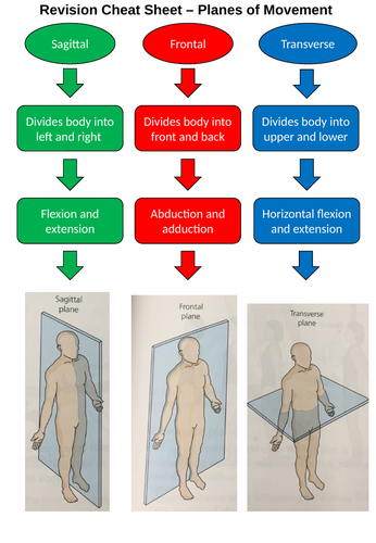 Planes of Movement Concise Comparison Sheet - A level | Teaching Resources