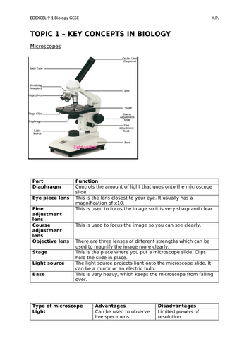 EDEXCEL BIOLOGY 9-1 GCSE (Separate) Topic 1 Key Concepts Notes YP ...
