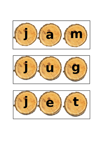 Sound words on log slices | Teaching Resources