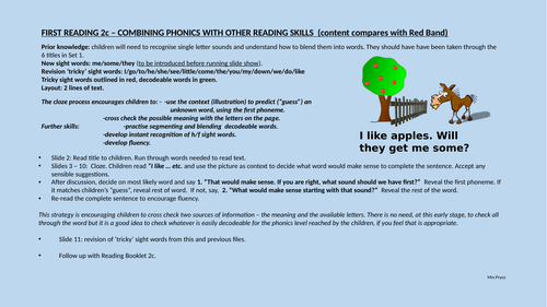 First Reading 2c Mrs Pryce's Funny Phonics | Teaching Resources