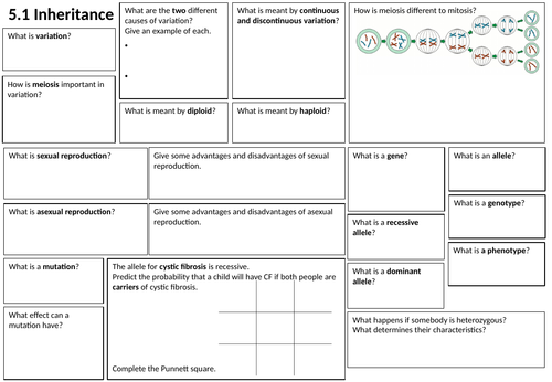 Revision Learning Mats Gcse Biology Ocr Gateway Genes Inheritance