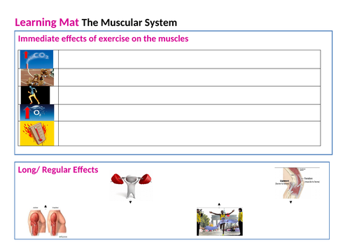 Muscular system long and short term effects | Teaching Resources
