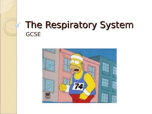 Respiratory System - Physical Education | Teaching Resources