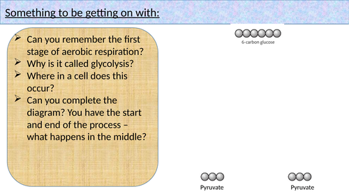 Link Reaction & Kreb's Cycle - IB HL Bio & A Level | Teaching Resources
