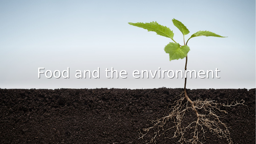 Food and the environment | Teaching Resources