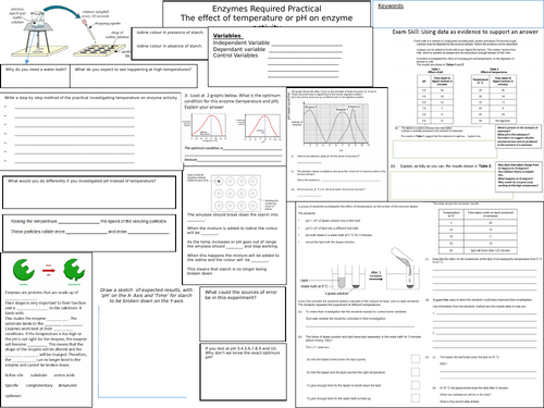 Enzyme Activity Temperature pH Revision Sheet GCSE REQUIRED PRACTICAL ...