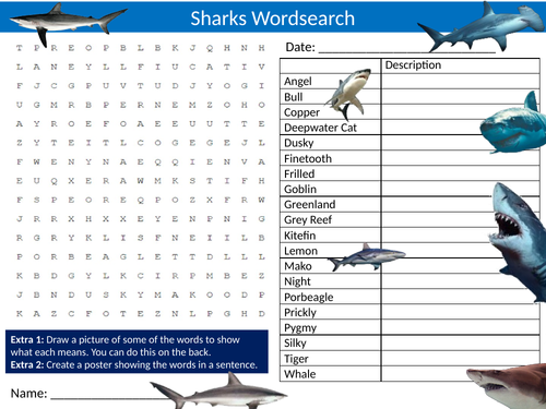 Sharks #3 Wordsearch Starter Activity Fish Animals Homework Cover ...