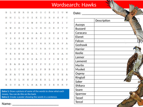 Hawks Wordsearch Sheet Starter Activity Keywords Cover Homework Animals ...