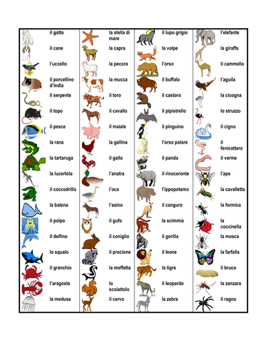 Animali (Animals in Italian) Desk Mat | Teaching Resources