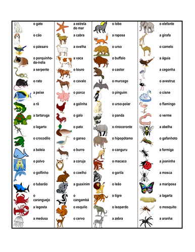 Animais (Animals in Portuguese) Desk Mat | Teaching Resources
