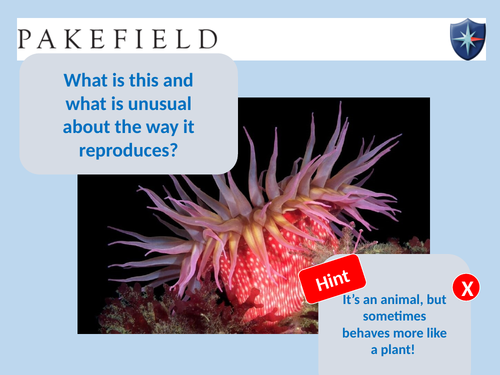 Reproduction | Teaching Resources