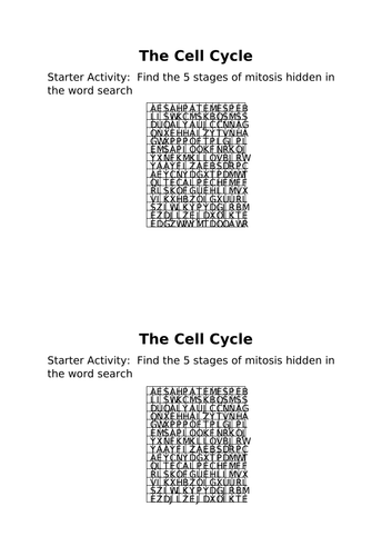 The Cell Cycle | Teaching Resources