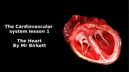 OCR A Level PE Year 1 Cardiovascular system powerpoint | Teaching Resources