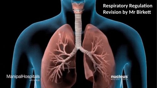 OCR A Level PE Year 1 Respiratory system powerpoint | Teaching Resources OCR A Level PE Year 1 Respiratory system powerpoint | Teaching Resources