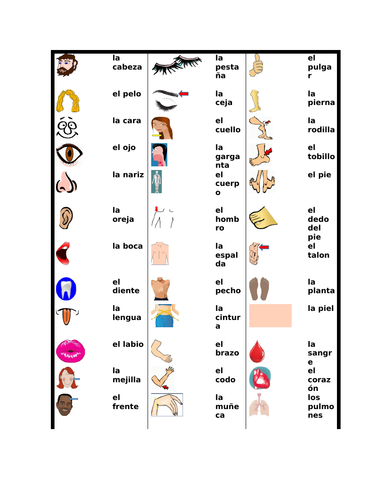 Cuerpo (Body in Spanish) Desk Mat | Teaching Resources