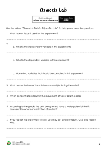 Osmosis In Potatoes Lab Report