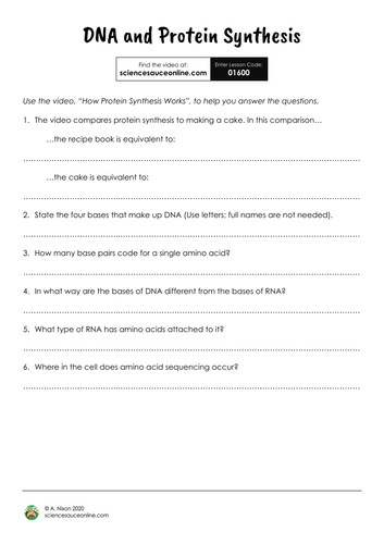 DNA and Protein Synthesis [Virtual/Blended] | Teaching Resources