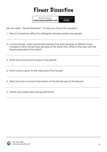 Flower Dissection [Virtual/Blended] | Teaching Resources