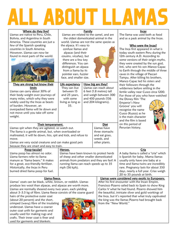 All about llamas | Teaching Resources