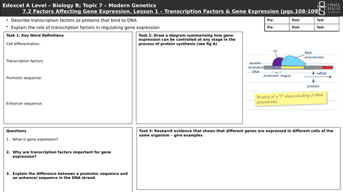 Edexcel Biology B A Level. Topic 7 - Modern Genetics. 7.2 Factors ...