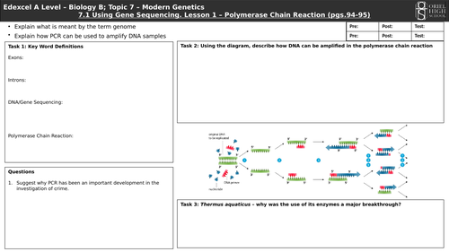 Edexcel Biology B A Level. Topic 7 - Modern Genetics. Worksheets ...