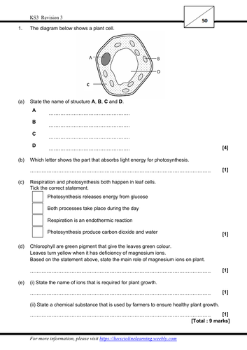 Revision 3 - Exam style questions (KS3, Year 9, IGCSE) | Teaching Resources