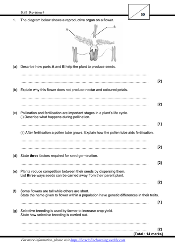 Revision 4 Exam Style Questions Ks3 Year 9 Igcse Teaching Resources