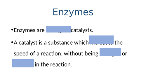 GCSE Biology: Enzyme Activities | Teaching Resources