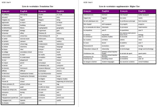 Unit 9- Vocabulary List- GCSE French | Teaching Resources