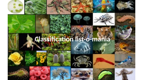 Classification list-o-mania | Teaching Resources
