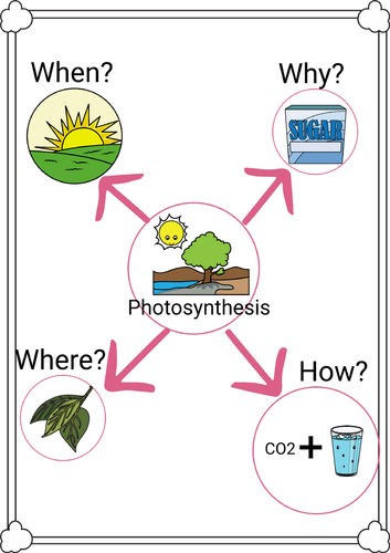 Photosynthesis Word Web | Teaching Resources
