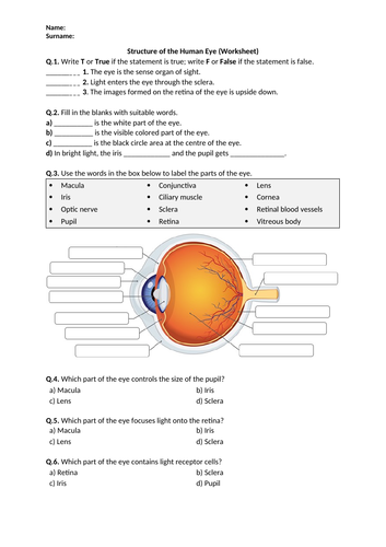 Structure of the Human Eye - Worksheet | Distance Learning | Teaching ...