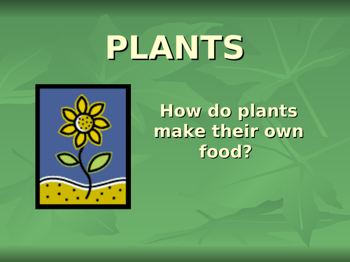 How do plants make their own food? - PowerPoint | Teaching Resources