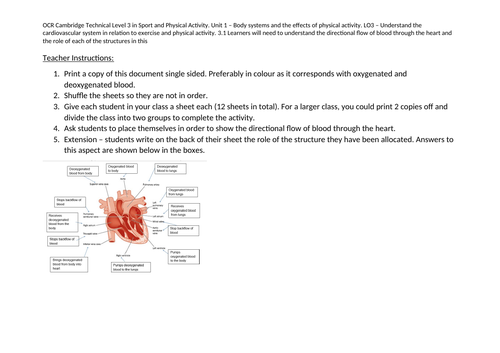 3.1 Directional Flow of Blood Activity | Teaching Resources