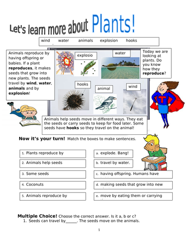 Plant Reproduction Worksheet