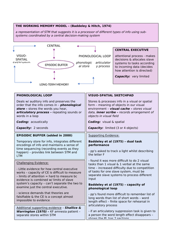 THE WORKING MEMORY MODEL – (Baddeley & Hitch, 1974) | Teaching Resources