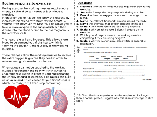 Response to exercise worksheet (Foundation) (SPEC 4, AQA) | Teaching ...