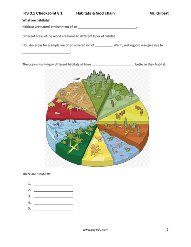 Habitat and Food Chain- Answer and Questions | Teaching Resources