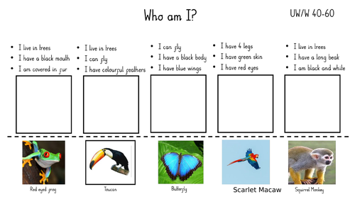 Early Years Rainforest | Teaching Resources