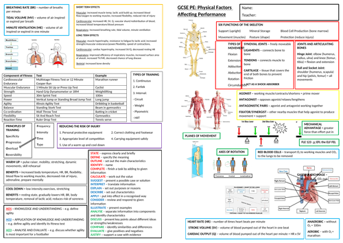 GCSE PE Book Covers | Teaching Resources
